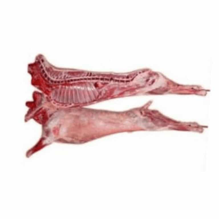 Whole Goat | Trinidad & Tobago Supplier | Westco Foods